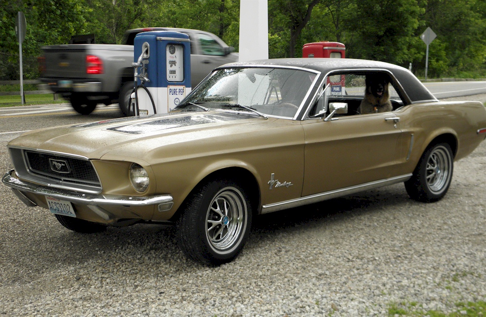 Sunlit Gold 1968 Ford Mustang Hardtop