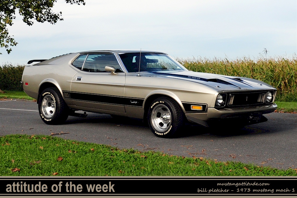 Light Pewter Silver 1973 Mach 1 Ford Mustang Fastback